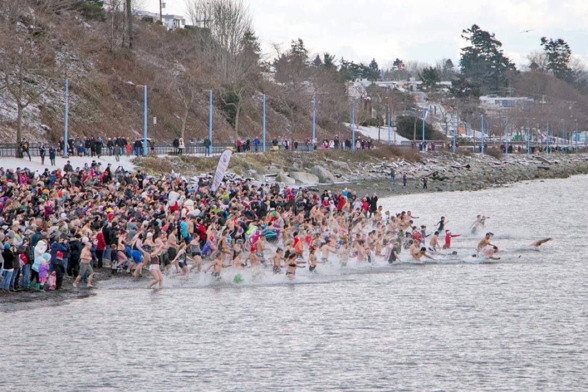 White Rock Polar Plunge to go ahead, despite dead anchovies | Peace ...