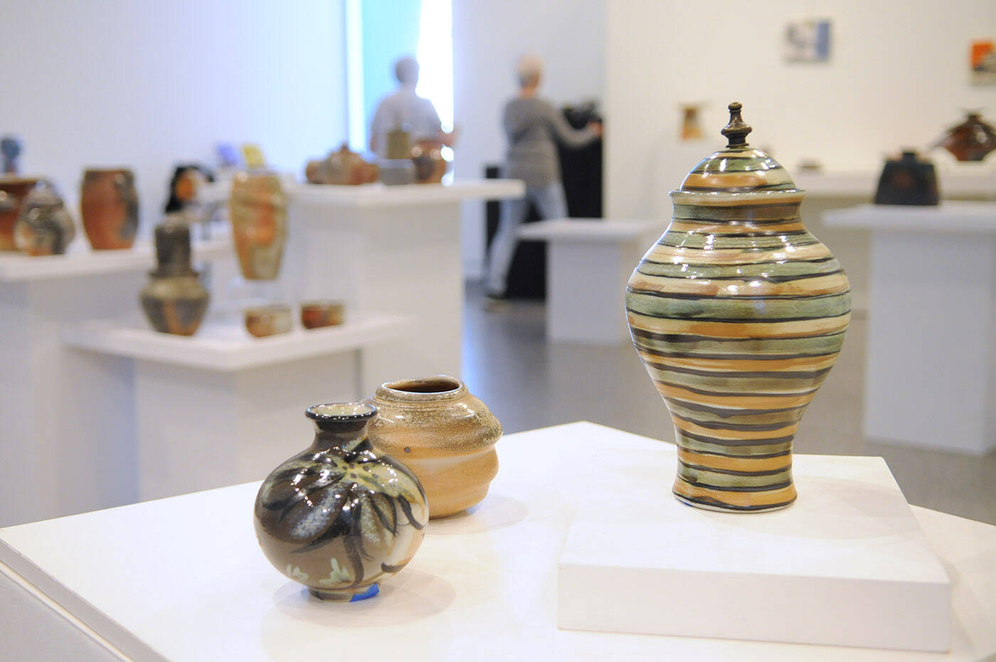 Lower Mainland potters share their passion with clay in Chilliwack show ...
